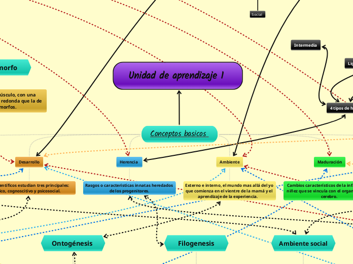 Conceptos basicos - Mind Map